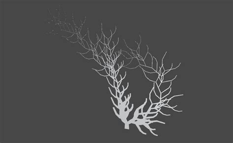 Create D Tree Shapes With Code Envato Tuts