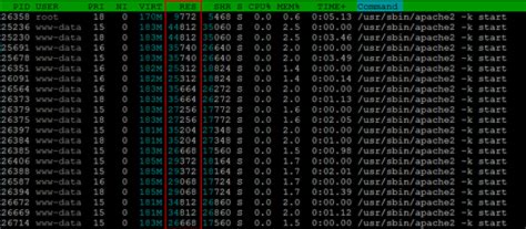 Maxclients Maxkeepaliverequests E Keepalivetimeout Ottimizzazione Di