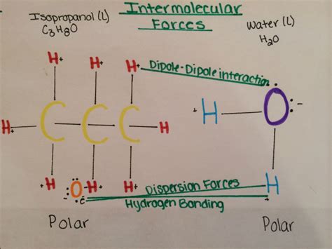 Intermolecular Forces Isopropanol