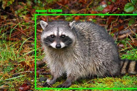 yolov2 in keras and applications yolo2keras