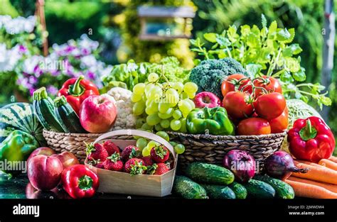 Variety Of Fresh Organic Vegetables And Fruits In The Garden Balanced