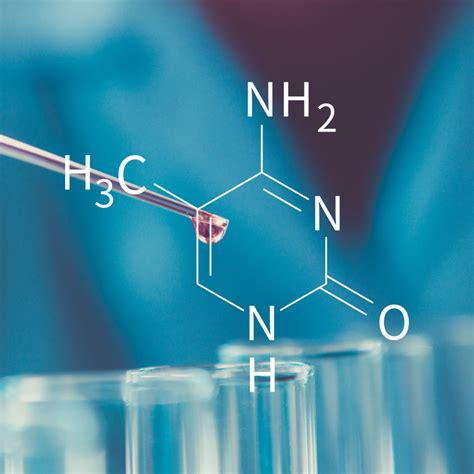 甲基化前处理试剂盒 滴纳生物