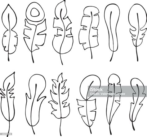 손으로 그린 그림 장식 양식된 깃털의 벡터 집합입니다 흑백 그래픽 실루엣 그림 흰색 배경에 고립 Inc 그리기 실루엣입니다 검은색에 대한 스톡 벡터 아트 및 기타 이미지