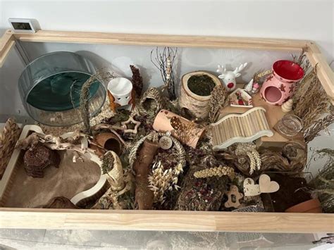 35 Amazing Hamster Cage Ideas Thepetenthusiast