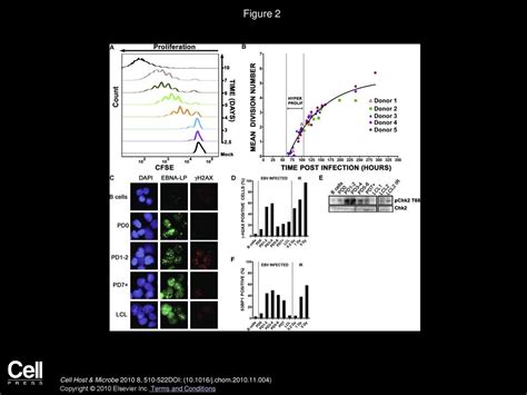 Volume 8 Issue 6 Pages December 2010 Ppt Download