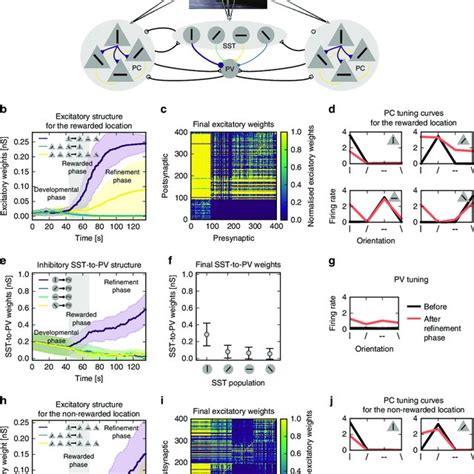 Translation Invariance Of Learned Representations A Illustration Two Download Scientific