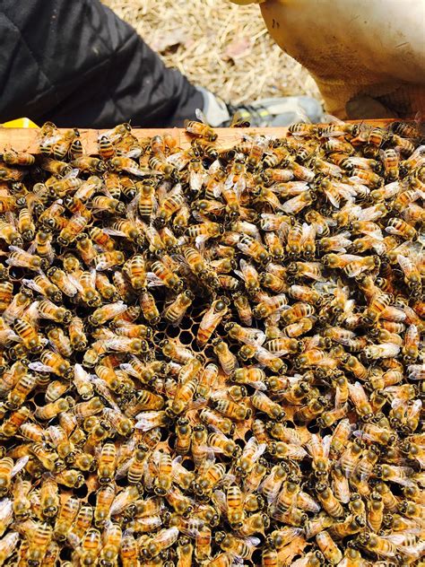 이모션아트 부모님감사패 공로패 퇴직 선물 고급 인물화 액자상패 사랑하는 부모님께 감사한 마음을 담은 감사패문구 와 아빠 엄마선물 특별한 부모님 초상화 그림 인물화를