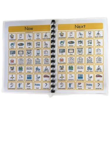 Now Next Point Book Asd Bright Ideas