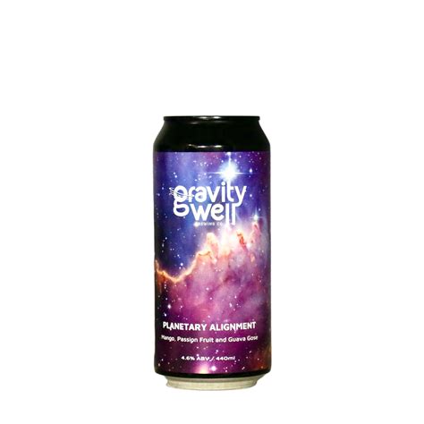 Gravity Well Planetary Alignment Fruited Gose Craft Metropolis