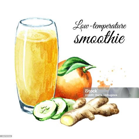 오렌지 오이 생강과의 낮은 온도 스무디 흰색 배경에 고립 수채화 손으로 그린 그림 오이에 대한 스톡 벡터 아트 및 기타 이미지 오이 생강 수채화 Istock