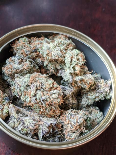 Kush Mintz X Wedding Crasher Bho April R Mompics