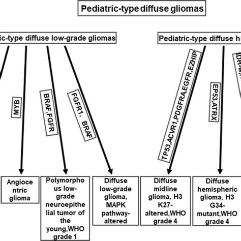 classification and genetic parameters of adult type diffuse gliomas