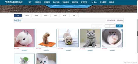 java毕设项目宠物商城网站系统（java vue mybatis maven mysql） csdn博客
