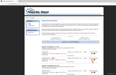 【小白专用24 1 7 已验证】windows 11 安装php8 3 apache2 4 win11下如何安装win apache php环境 csdn博客