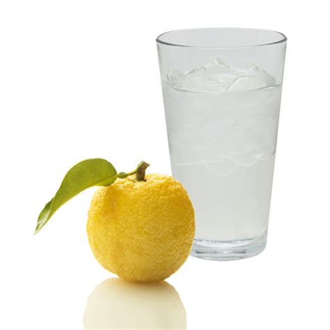 Sumida Yuzu Honey Co Ho Imports