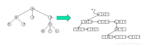 采用孩子兄弟表示法建立一棵树 Csdn博客