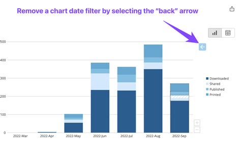 How To Remove Filters From A Report