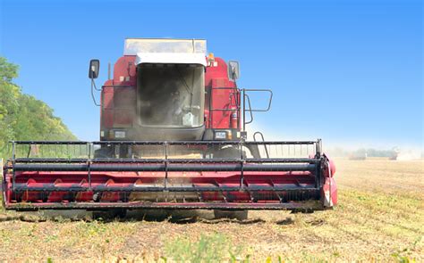 레드 결합 수확기 콩 수확 푸른 하늘에 대 한 농장이을 시즌에는 필드에서 작동 가을에 대한 스톡 사진 및 기타 이미지 가을 곡초류 기계류 Istock