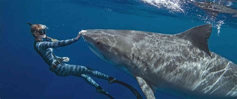 Shark Diver Ocean Ramsey Speaks Out About Criticism In Netflix Doc