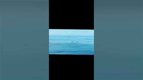 කෑළි පටිය😋 ️ Youtube