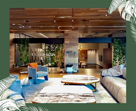 Интериорно озеленяване на обществени сгради Зелен водопад Интериор Плант Дизайн