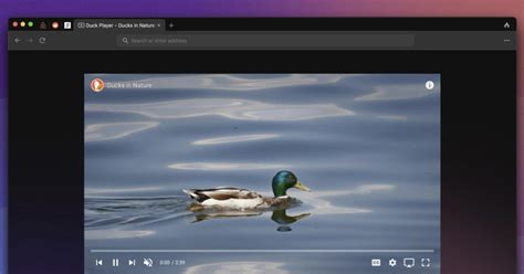DuckDuckGo Makes Its Mac Browser Beta Open To All Engadget