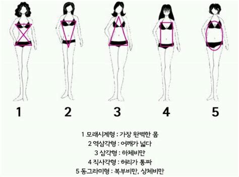 5가지 여자 몸매 유형 인스티즈instiz 이슈 카테고리