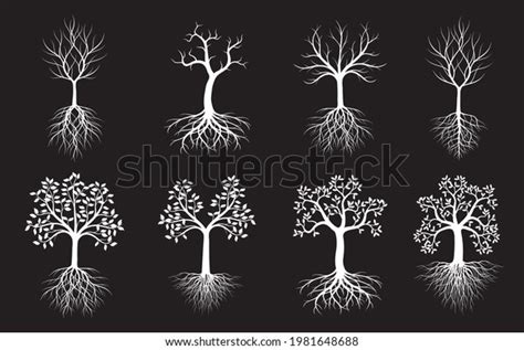 Set Trees Leaves Roots Vector Outline Stock Vector Royalty Free Shutterstock