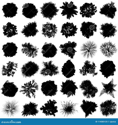 tree top view silhouettes set vector eps 10 stock vector