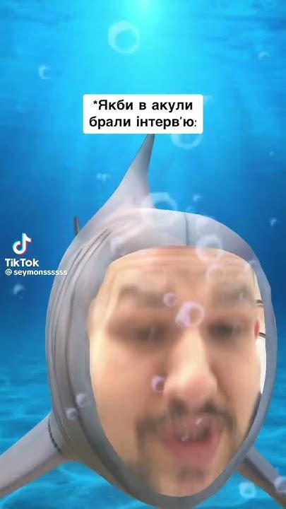 Акула съела русского туриста Youtube