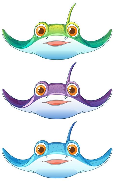 Three Vibrant Stingrays Stock Vector Illustration Of Vibrant 367454453