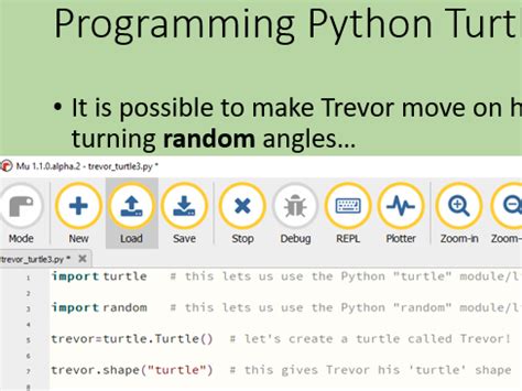 Whole Babe Python Resources