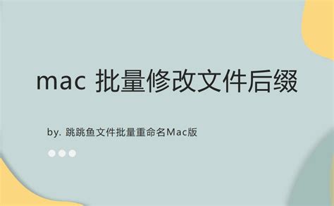 mac 批量修改文件后缀的方法教程 哔哩哔哩