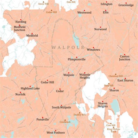 Phis Parallel Vector Map