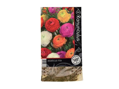 Луковици за есенни цветя Лидл Oferta Bg