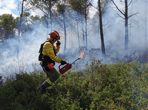 Formación En Manejo Y Uso Del Fuego Técnico