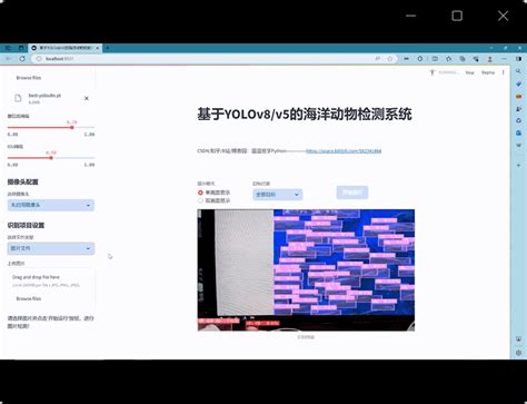 基于深度学习的海洋动物检测系统（网页版yolov8v7v6v5代码训练数据集） 逗逗班学python 博客园