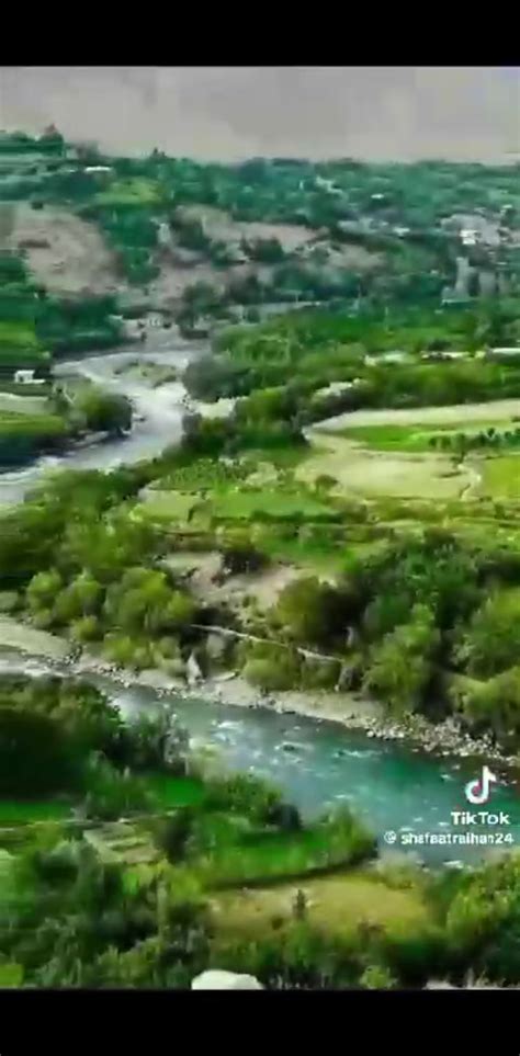 ‎صبغت الله زابلی‎