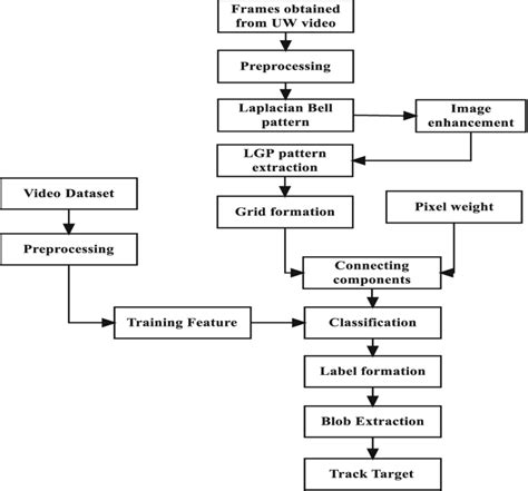 Full Schematic Of The Devised Methodology Download Scientific Diagram
