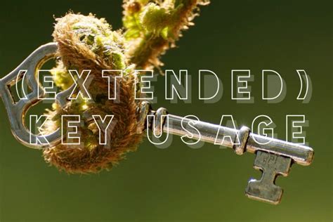 Key Usage Dan Extended Key Usage Goblog