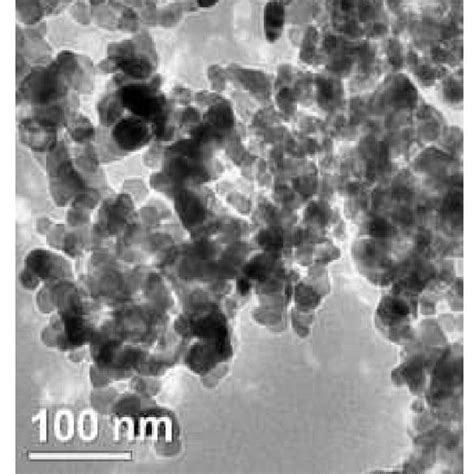 Scanning Electron Microscope For Zno Nps Download Scientific Diagram