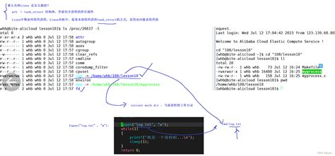 【linux进程】再谈进程—进程概念 Csdn博客