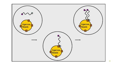 Next Generation Sequencing Strategies Pptx