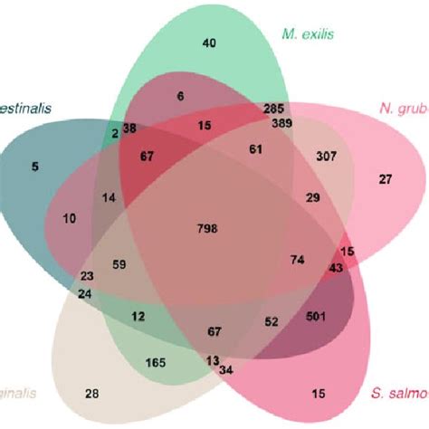 The Overall Morphology Of Monocercomonoides Exilis And Phylogeny Of Download Scientific Diagram