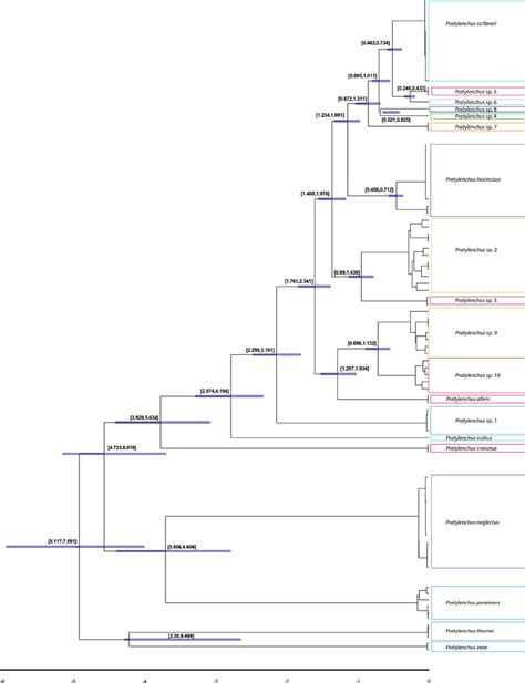 Bayesian Evolutionary Analysis By Sampling Trees BEAST Analysis Of Download Scientific