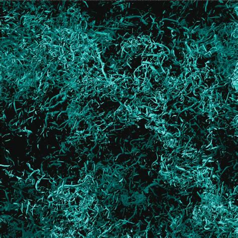 6 Direct Numerical Simulation Of Incompressible Isotropic Turbulence Download Scientific