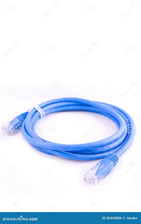Network Cable Patch Cord Stock Photo Image Of Ports