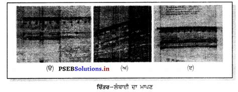 PSEB th Class Science Solutions Chapter ਗਤ ਅਤ ਦਰਆ ਦ ਮਣ PSEB Solutions