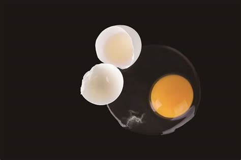 영화로 읽는 세상 콜럼버스의 깨진 달걀 세우기