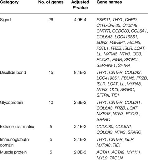 Functional Annotation Clustering Of Differentially Expressed Genes